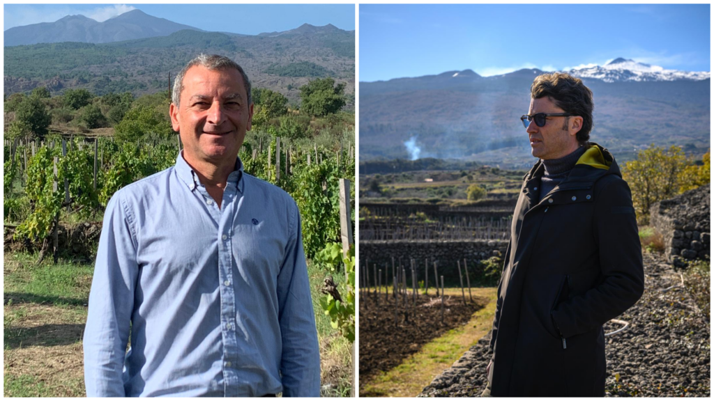 Etna Doc, più sei per cento nel 2025 e quest'anno obiettivo sei milioni ...